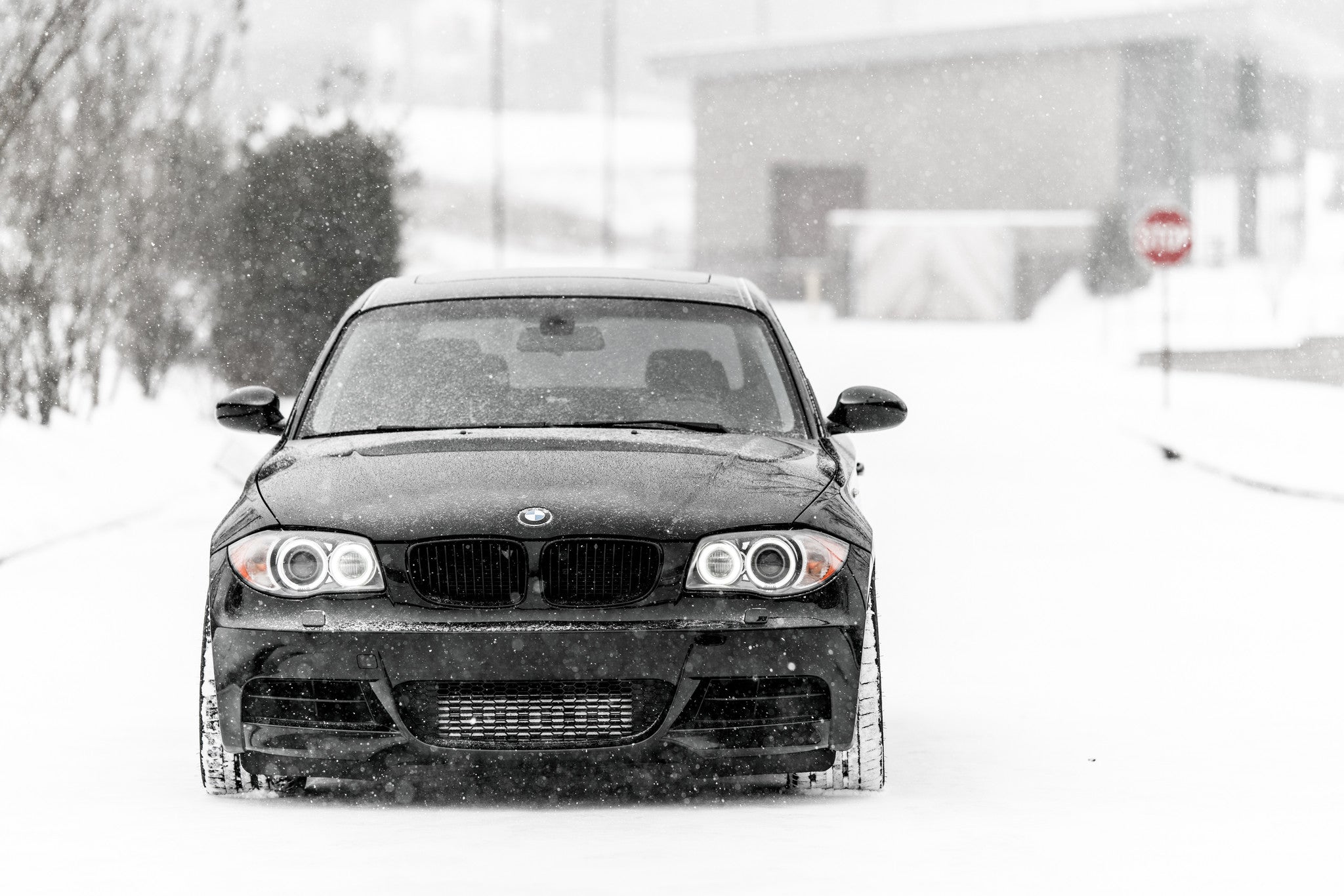 LUX H8 189 - Lux Angel Eyes